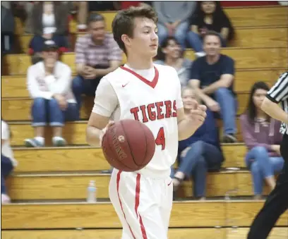 Tigers top Hornets - PressReader