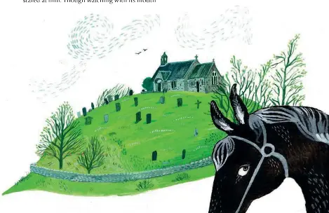 MYTH OF THE LINTON WORM - PressReader