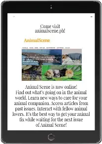 AMPON ALAGA - PressReader