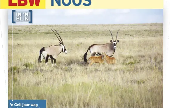 Die ander sê - PressReader