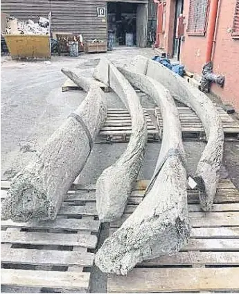 Locals ‘uncertain’ about Jawbone Arch replica plan - PressReader