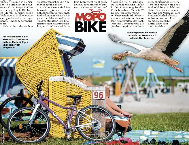 Abendrot-Touren und Filmnächte per Rad - PressReader