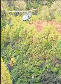 Hunter safe but dogs still missing - PressReader