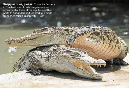 Crocodile farmers want more relaxed trade curbs - PressReader