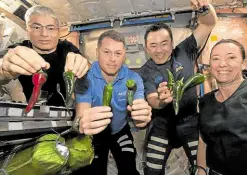 NASA LOOKS TO SPICE UP ASTRONAUT MENU WITH DEEP SPACE FOOD PRODUCTION ...