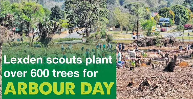 Lexden scouts plant over 600 trees for ARBOUR DAY - PressReader
