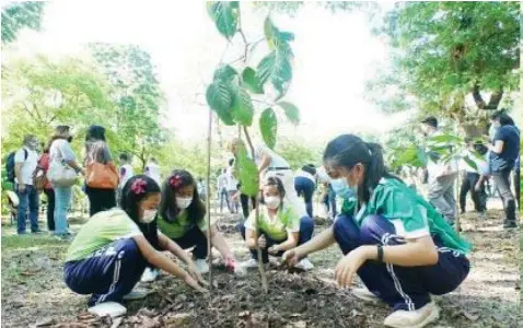 Oriental Mindoro schools prepare for holiday tree-planting activity ...