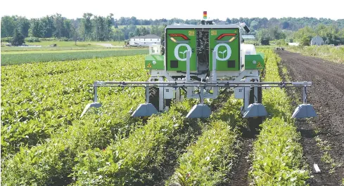 Technologi­cal innovation seen as a key part of food sovereignt­y ...