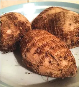 Good times with madhumbe - PressReader