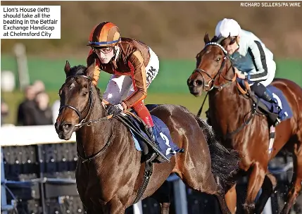 Varian’s Lion’s House ready to roar back at Chelmsford - PressReader