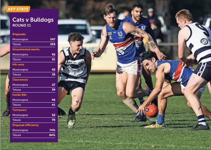 Cats mark their territory and leave Dogs chasing tails - PressReader