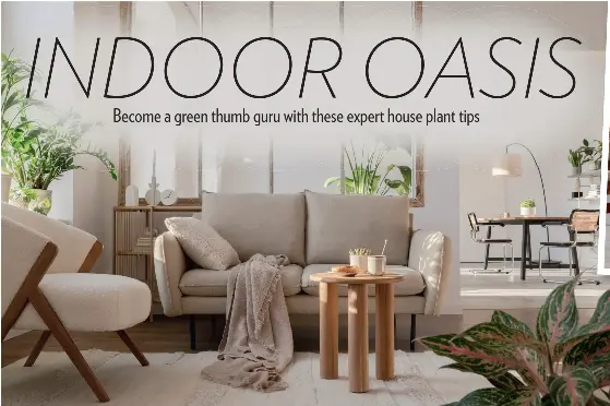 INDOOR OASIS - PressReader