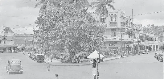 SUVA’S ICONIC IVI TREE - PressReader
