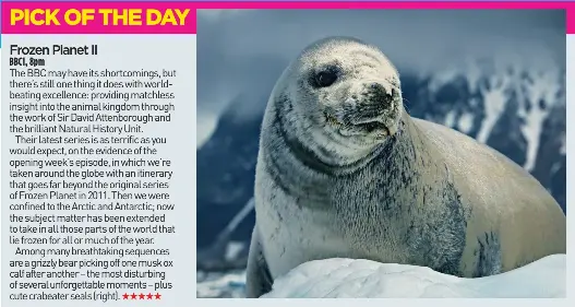 Frozen Planet II - PressReader