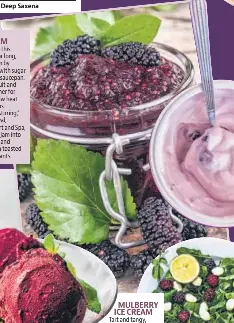 Indulge in season’s fave, mulberry! - PressReader