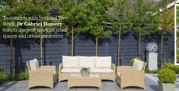 Is it time to branch out? - PressReader