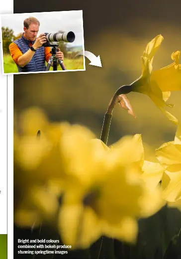 Get that floral feeling - PressReader