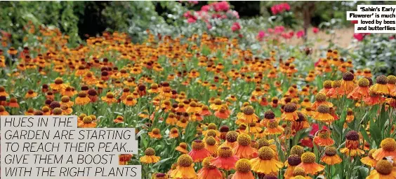 Colour me happy - PressReader