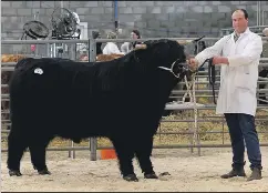 Highlander­s show and sale was champion - PressReader