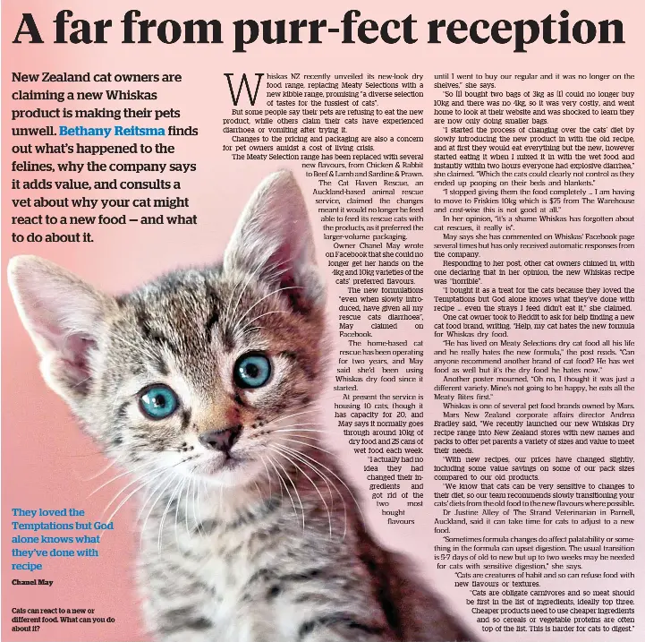 A far from purr-fect reception - PressReader