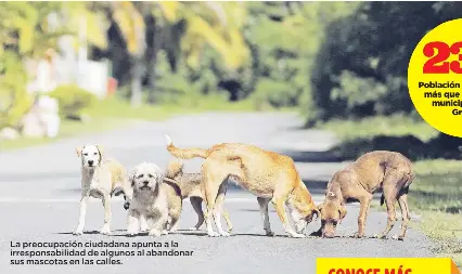 PREOCUPA LA PROLIFERAC­IÓN DE ANIMALES REALENGOS - PressReader