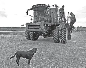 Why farmers support Trump’s tariffs despite knowing they’ll crush sales ...