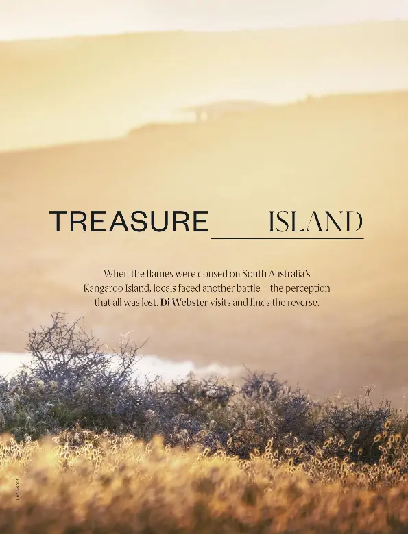 TREASURE ISLAND - PressReader