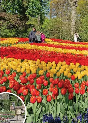 FLOWER POWER - PressReader