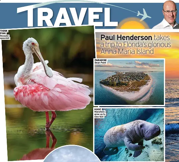 Floridian fancy - PressReader