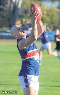 2022 top performers - PressReader