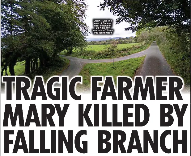 COMMUNITY LEFT IN SHOCK - PressReader