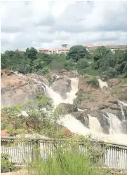 Join the Botanical Society and help to protect the Lowveld’s natural wonders - PressReader