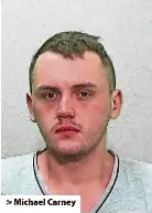 Victim scarred by vicious pair - PressReader