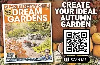 Berry’d treasure - PressReader