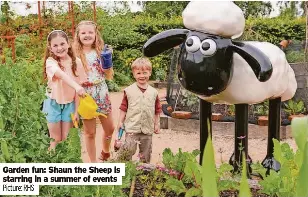 Flock to Shaun’s summer of fun - PressReader
