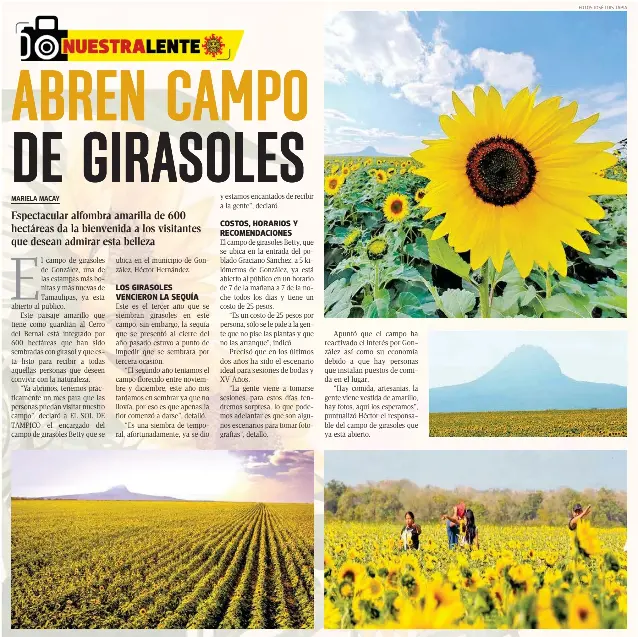 ABREN CAMPO DE GIRASOLES - PressReader