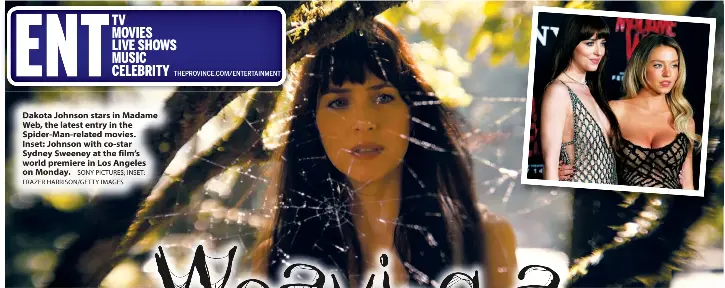 Weabing a Web - PressReader