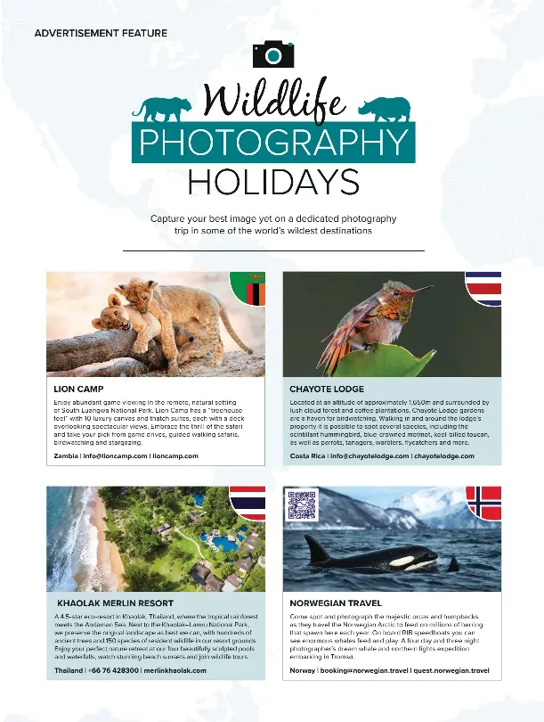 Wildlife PHOTOGRAPH­Y HOLIDAYS - PressReader