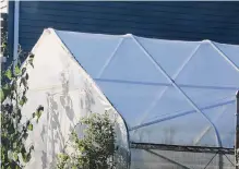 Greenhouse alone won’t shield tree from the cold - PressReader