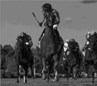 Todd, Husbands, Vella lead newest class of inductees - PressReader