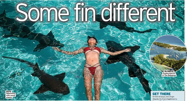 Some fin different - PressReader