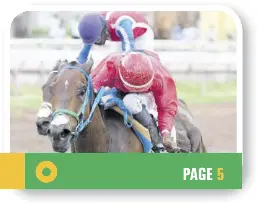 I AM FRED GOES FOR FOUR STRAIGHT - PressReader