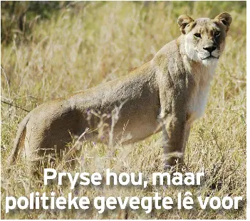 Pryse hou, maar politieke gevegte lê voor - PressReader