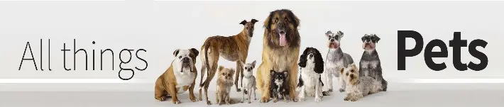 All things Pets - PressReader