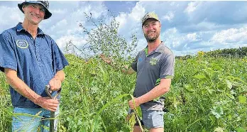 Pasture diversity an adaptation tool - PressReader