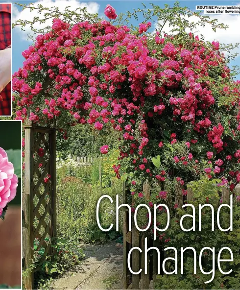 Chop and change - PressReader