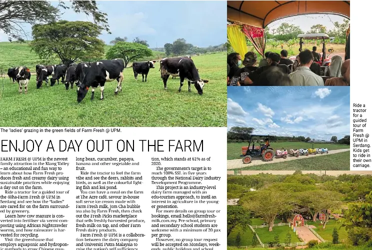 ENJOY A DAY OUT ON THE FARM - PressReader
