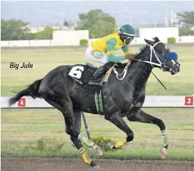 Big Jule to return a winner - PressReader