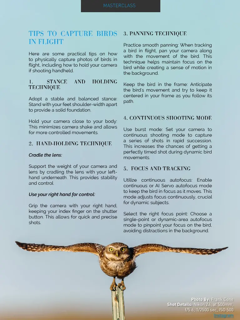 TIPS TO CAPTURE BIRDS IN FLIGHT - PressReader