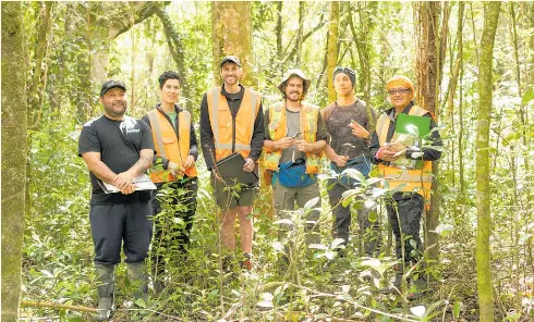 Kaitiaki, scientists join forces to protect forests - PressReader